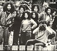 To download the latest Friends of Move Newsletter, click here